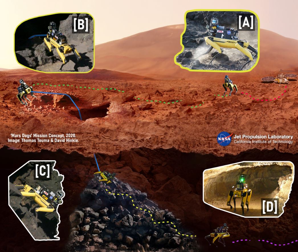 Mars Dogs: Biomimetic Robots for the Exploration of Mars, from its ...